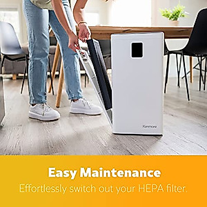 Kenmore 2300e Series Air Purifier Replacement True HEPA Filter