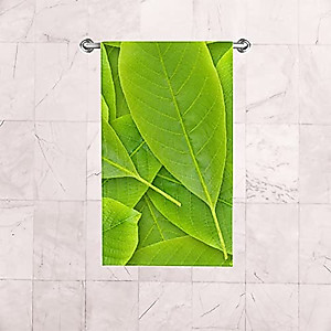 Green Leaf Dish Towel 2PC Hand Towels for Bathroom 15" x 30" Absorbent Soft for Hand, Face, Kitchen, Hotel, Spa, Gym, Swim