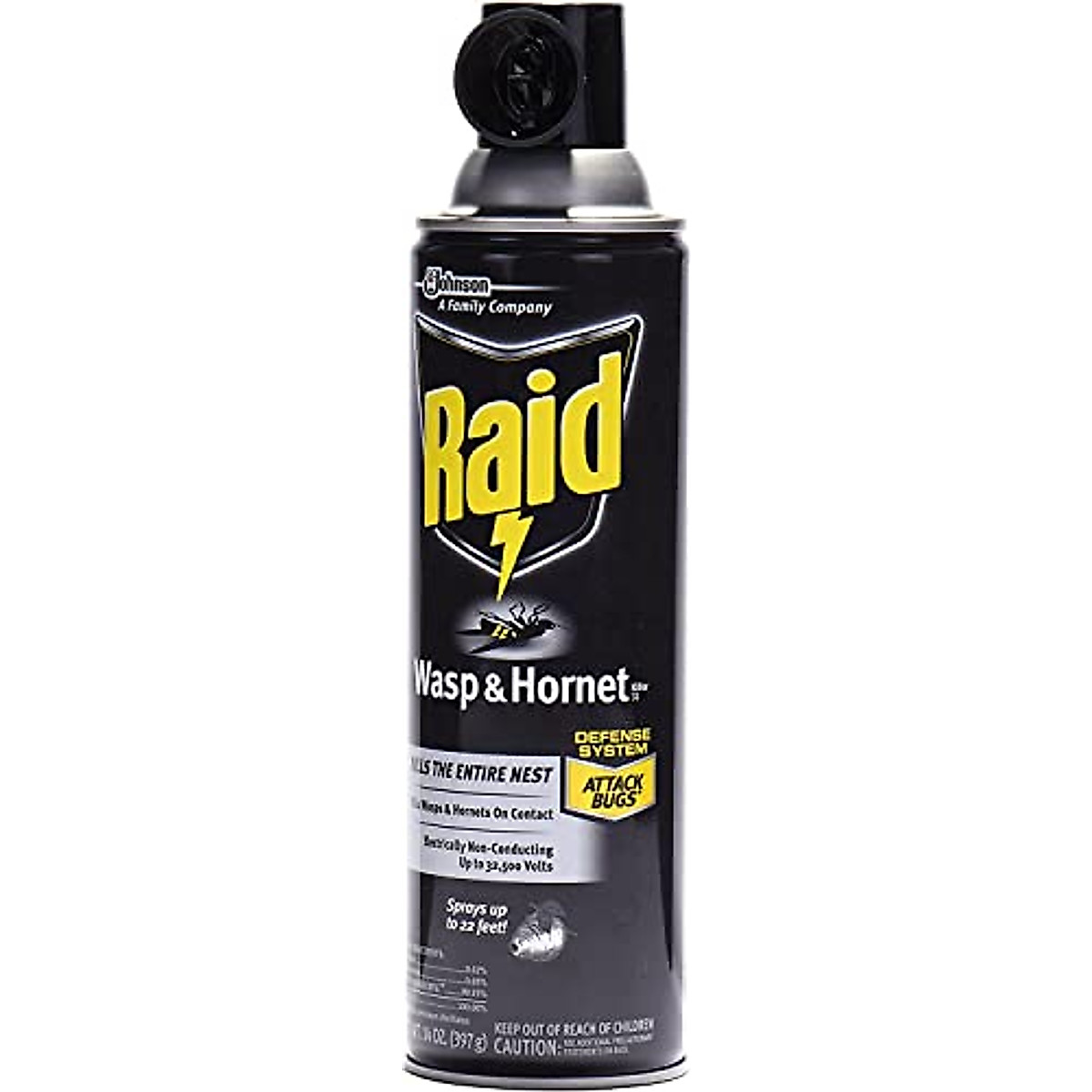 Raid Wasp and Hornet Killer (17.5 Ounce (Pack of 1))