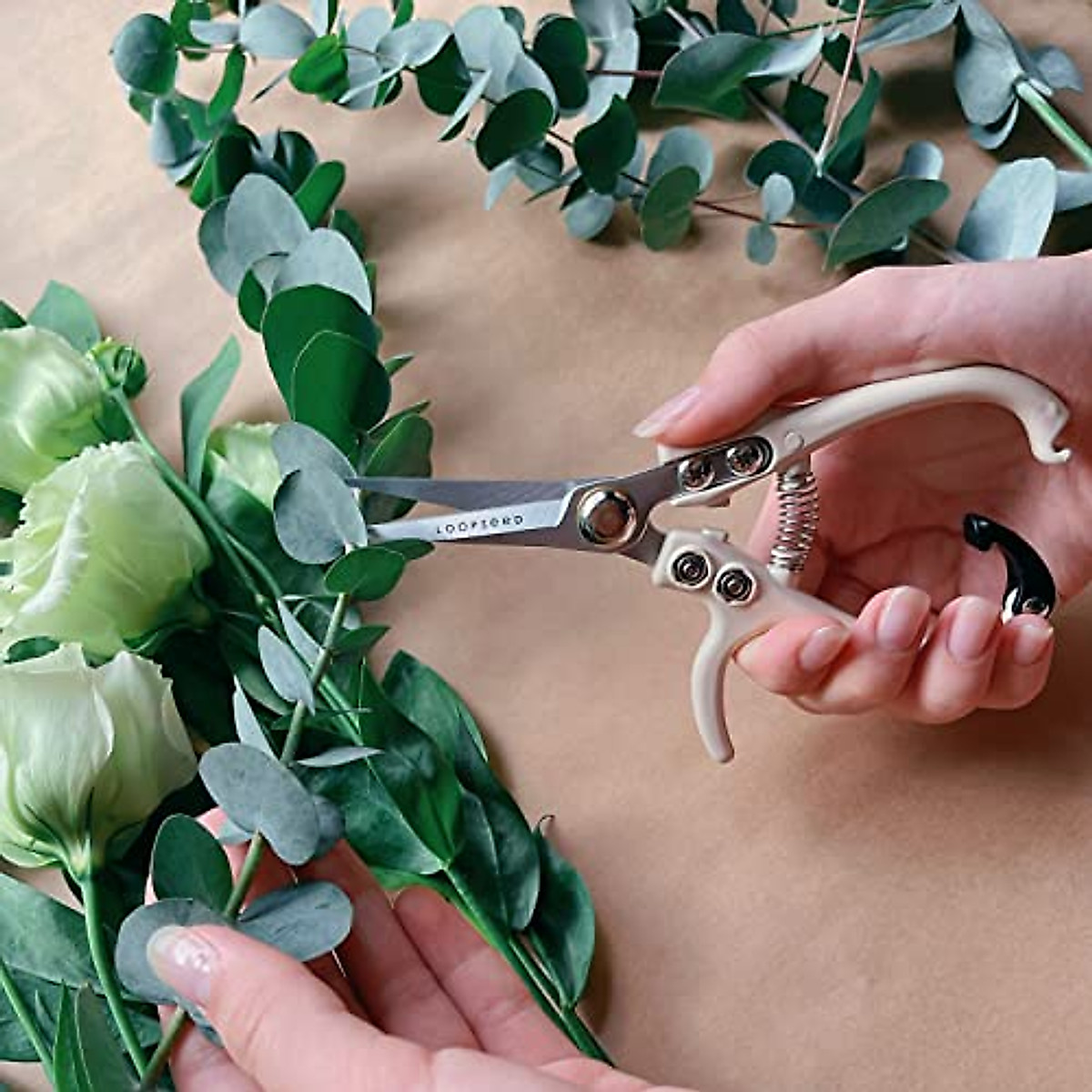 LOOPSEED Plant Pruning Shears Garden Trimming Scissors Precision Hand Pruner Herb Snips Flower Clippers Bonsai Trimmers Straight Sharp Blade Tapered Tip Ergonomic Handle Garden Tools (Classic Cream)