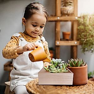 8 Pack Unfinished Wooden Box, 6 x 6 Inch Square Rustic Small Wooden Box Craft Organizer Container Box for Storage, Home Decor, Art Collectibles, Desktop Decor, Succulent Plant Pot, Drawer, DIY Craft