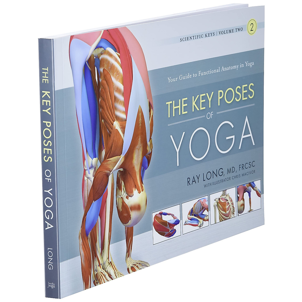 The Key Poses of Yoga: Scientific Keys, Volume II