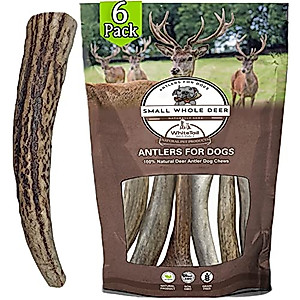 WhiteTail Naturals - Antlers for Small Dogs (6 Pack) Deer Antler Dog Chew Bones for Small to Medium Aggressive Chewers - Long Lasting Horn Chew Toys - Naturally Shed