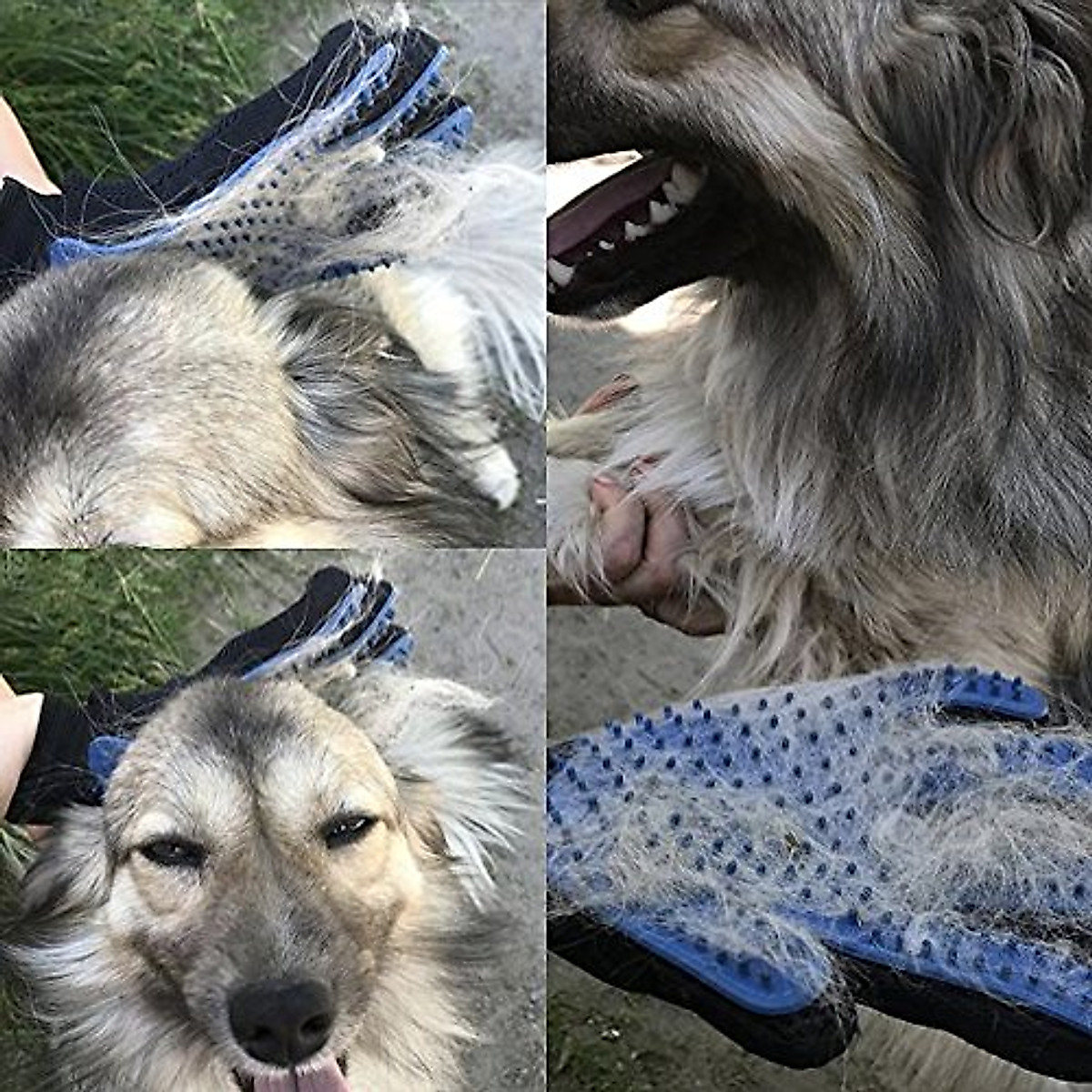 Pet Grooming Glove and Deshedding Brush - Perfect for Cat and Dog - Short and Long Hair - Gentle Pet Hair Remover Mitt - One-Size-Fits-All - 260 Soft Silicone Tips - Right Hand Product Name