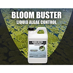 Bloom Buster Pond Algae Control - 64oz - Fast Acting Algaecide, Use in Fountains & Outdoor Ponds Containing Koi & Other Fish - EPA Registered