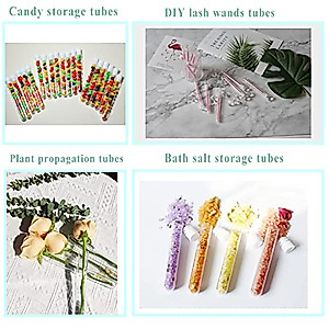 Muhome 16x100mm 10ml Clear Plastic Test Tubes with Caps for Scientific Experiments, Halloween, Christamas, Scientific Themed Kids Birthday Party Supplies, Decorate The House, Candy Storage(50 Pack)
