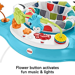 Fisher-Price Baby Bouncer Color Climbers Jumperoo Activity Center with Music Lights & Developmental Toys (Amazon Exclusive)