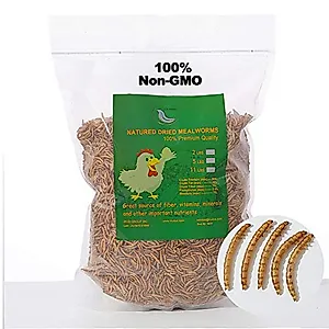 WORKPOINT 5LB 100% Natural Non-GMO High Protein Dried Mealworms, Large Size No Moisture, Perfect for Chickens Birds Hedgehog Hamster Fish Reptile Turtles