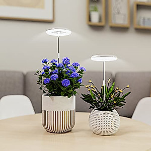eWonLife Grow Lights for Indoor Plants, Plant Lamp Full Spectrum for Growing, 2 Pack, Height Adjustable with 3/9/12H Auto Timer, 3 Spectrum Modes with 72 LEDs