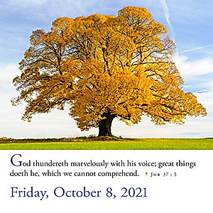 365 Bible Verses-A-Year Page-A-Day Calendar 2021