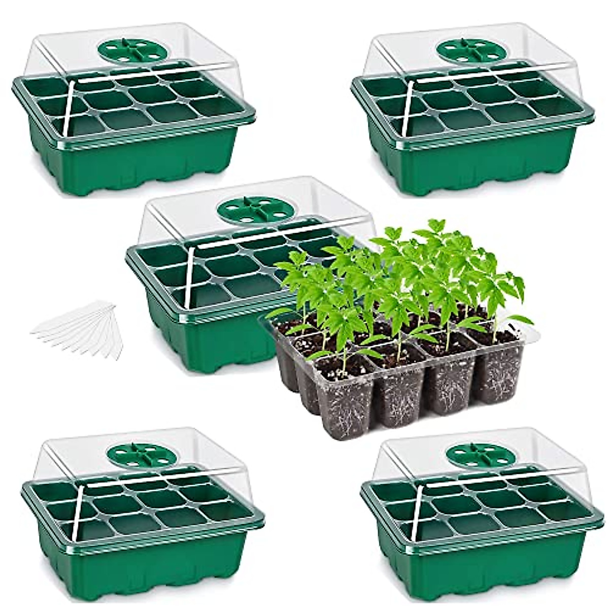 Bonviee 5-Pack Seed Starter Tray Seedling Starter Kits, Plant Starter Kit with Humidity Domes and Base Indoor Greenhouse Mini Propagator Station for Seeds Growing Starting (12 Cells per Tray) - Green