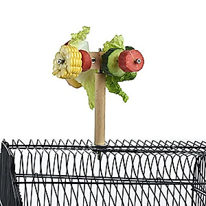 Guanlant Bird Food Holder for Cage, Bird Feeders Stand, Rotating Bird Toys with Perch, Parrot Fruits and Veggies Holder, Birds Foraging Toy, Bird Treat Sticks for Cockatiel Parakeet Conure Eclectus