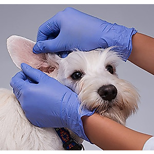 Adenna PCS775 Precision 4 mil Powder-Free Nitrile Exam Gloves, Medical Grade, Blue-Violet, Medium, Box of 100