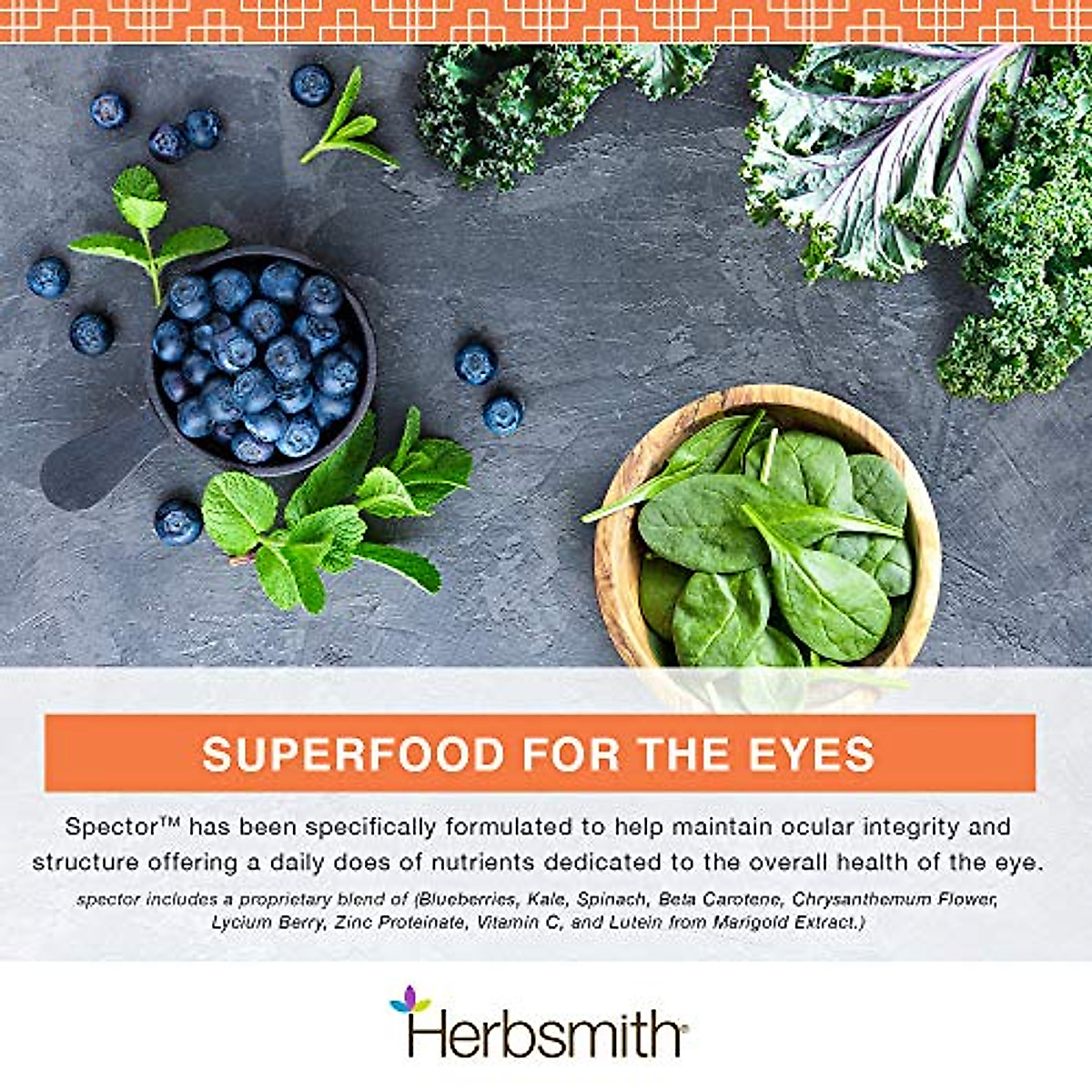 Herbsmith Spector - Eye and Vision Support for Dogs - Repair Greying to The Eyes - Senior Supplement for Dogs - Antioxidant for Dogs - 60ct Small Chews