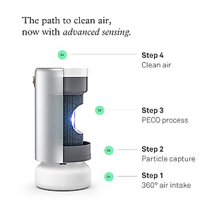 Molekule Air Pro | Air Purifier for Large Rooms up to 1000 sq. ft. w/PECO-HEPA Tri-Power Technology & PECO-HEPA Tri-Power Filter Air Pro | Air Purifier Replacement Filters for Smoke
