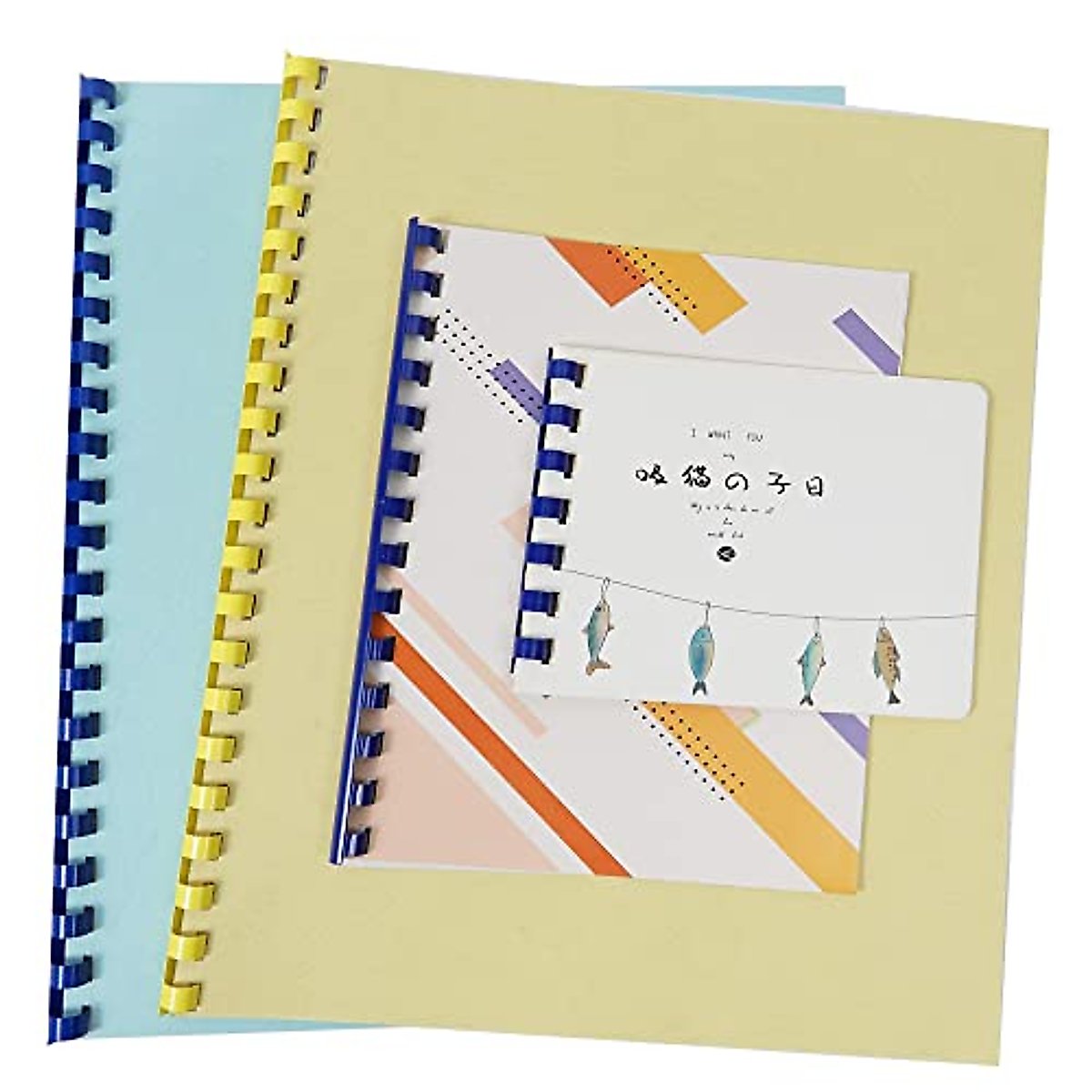 Rayson CR-12-100-M Plastic Binding Combs 1/2in. 21-Ring, 90-Sheet Capacity, Colorful Comb Binding Spines, Max. Binding A4 Size Paper (8.3"×11.7"), Box of 100