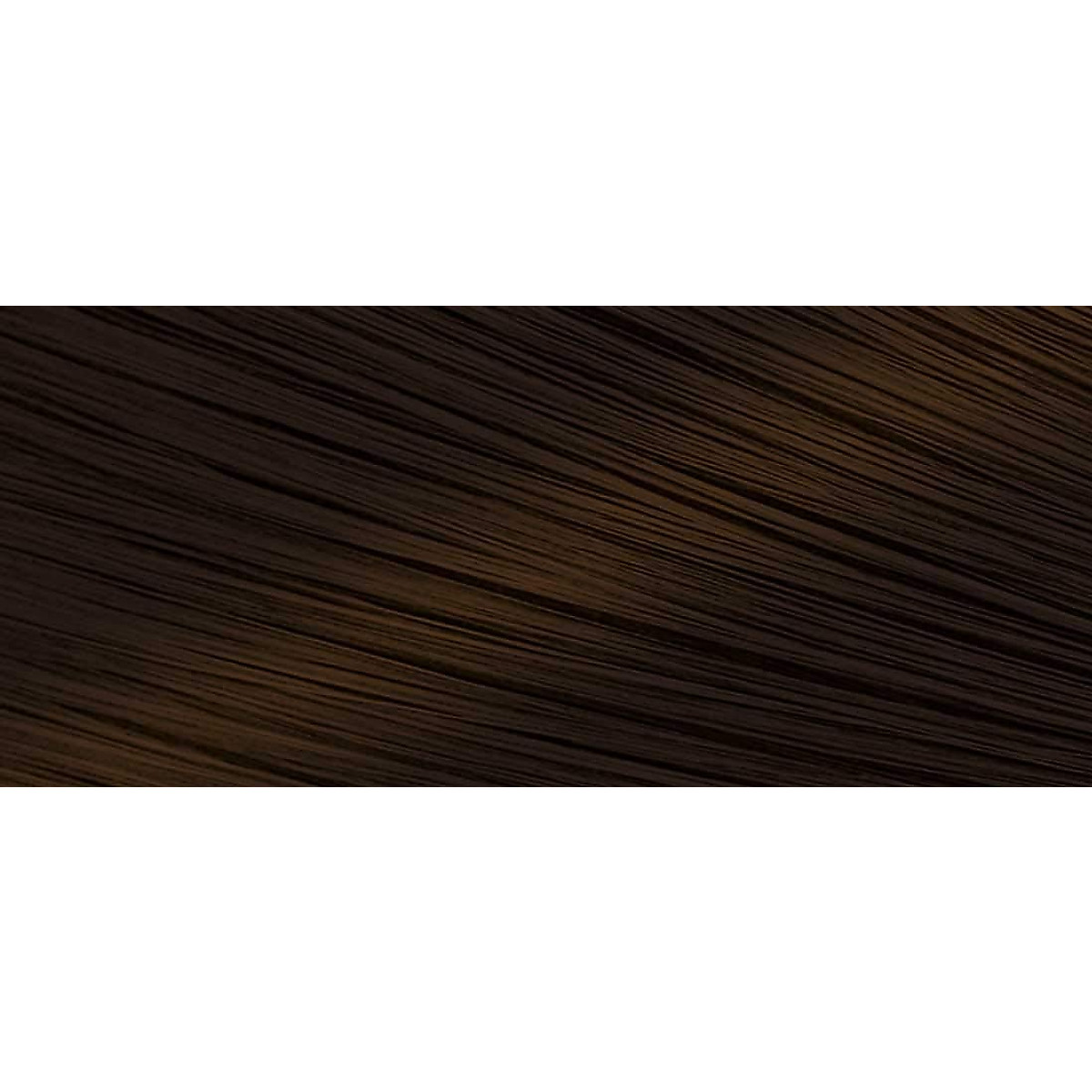 Bigen Speedy Conditioning Color Refill: 5 Deep Chestnut - 3 Pack