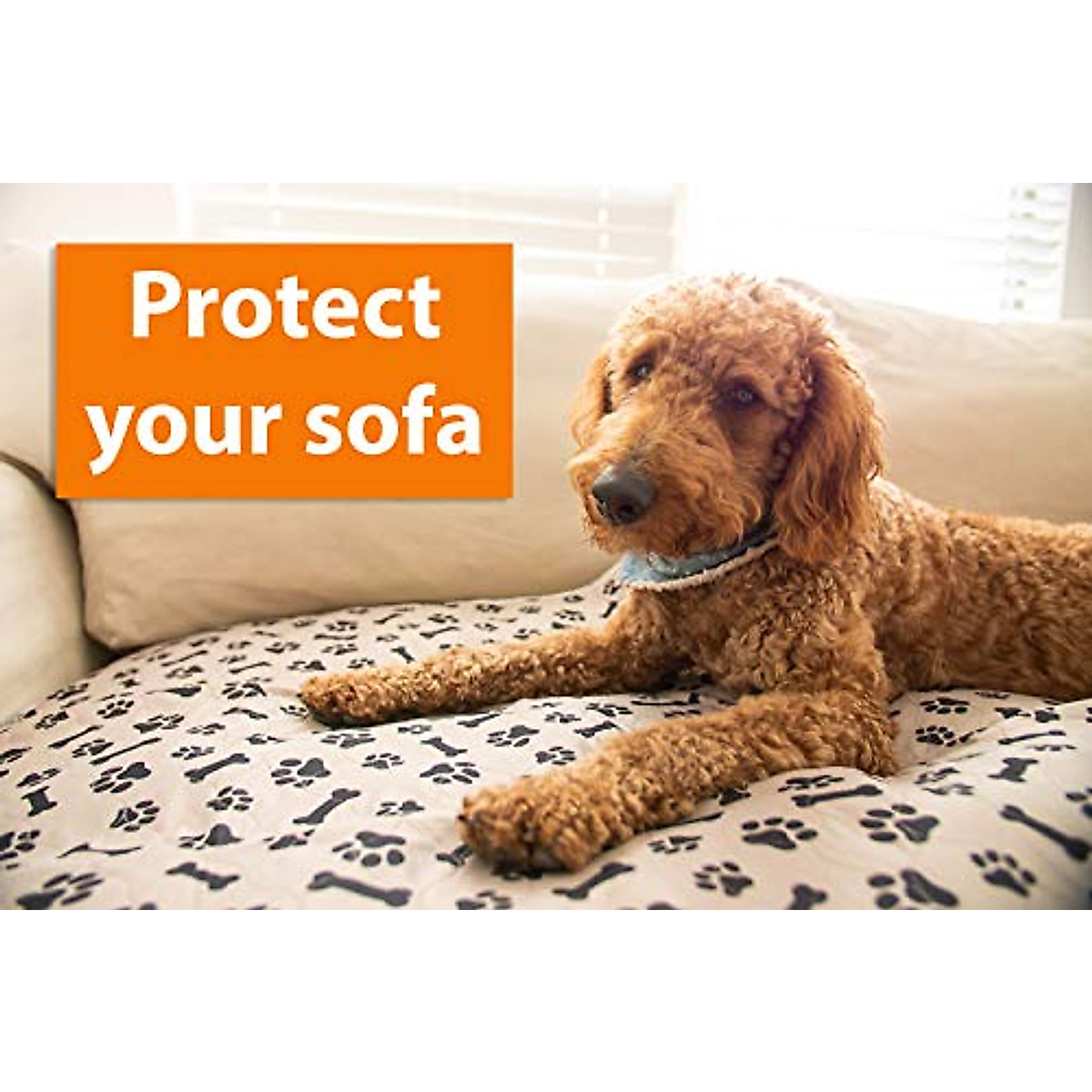 JUNGLE CREATIONS Washable Pee Pads for Dogs (3-Pack) Reusable Waterproof Potty Training Mats for Puppy Playpen, Whelping Box, Crate Liner for Small, Medium, Large, and XL Pets (30" x 36")