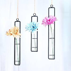 Hanging Glass Planter Water Iron Art Hydroponic Vase Transparent Test Tube Flower Hanging Bottle Home Decoration (3pcs-S,M,L)