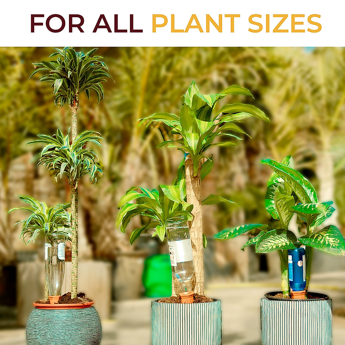 10-Pack Natural Self Watering Spikes - Terracotta - Automatic Plant Waterer for Indoor & Outdoor