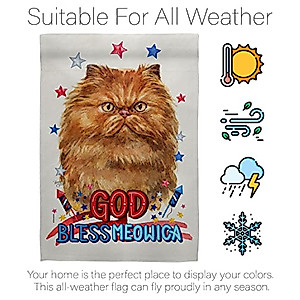 Breeze Decor Patriotic Tan Persian Garden Flag Set Wood Dowel Cat Kitten Meow Spoiled Paw Fur Pet Nature Farm Animal Creature House Banner Small Yard Gift Double-Sided, Made in USA