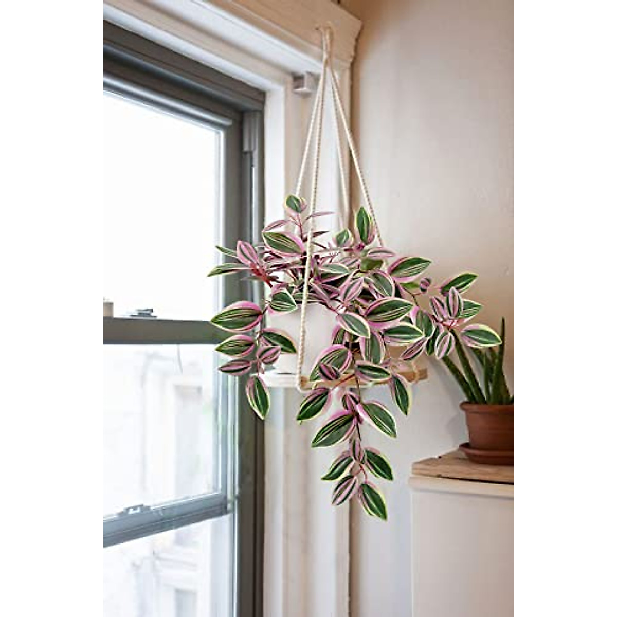 GnFlus Fake Plants, 20 Inch Artificial Peperomia Watermelon Plant Faux Greenery Potted Vine in Ceramic Pot for Home Bedroom Office Table Shef Indoor Outdoor Decor - Style 1