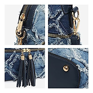 Dasein Women Tassel Zipper Pocket Crossbody Bag Shoulder Purse Fashion Travel Bag with Multi Pockets (Jean)