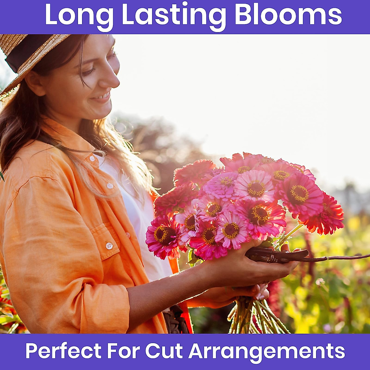 NatureZ Edge Zinnia Seeds for Planting Outdoors, Flower Seeds, Bulk Semillas De Flores para Sembrar, California Giants, 1 Oz