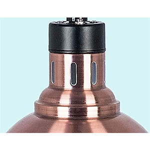 Heat Lamp Food Warmer Professional Heat Pendant Light, Used to Keep Food Warm Retractable Food Heating Lamp 3-Pack 220V 250W