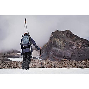 Dakine Wristguard Glove - Black, Large