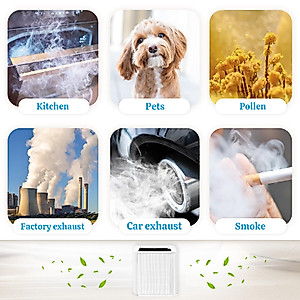 LeadCon 211+ Replacement Filter Compatible for Blue Pure 211+, Foldable, Particle and Activated Carbon Replacement Filter…
