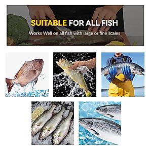 ADORAMBLING 2 Pieces Fish Scaler Tool Stainless Steel Fish Scaler Remover No Mess - Portable Fish Scale Remover Fish Descaler Tool - Durable Fish Scraper Fish Cleaner Tool for Fish Scaling Cleaning