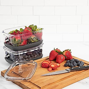 ProKeeper+ by Progressive Stackable Produce ProKeeper Storage Container with Stay-Fresh Vent System (PKS-912 (1.2 qt Berry Keeper))