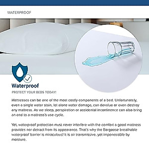 Bargoose Home Textiles | Zippered Mattress or Box Spring Cover | Lab Tested & Certified | Waterproof (Twin, 9" Deep)