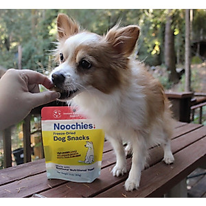 Noochies! High-Protein Freeze-Dried Dog Snacks with Bmmune - Grain-Free, Healthy, Hypoallergenic Dog Treats - Natural Snacks for Dogs (3 Ounce (Pack of 1))