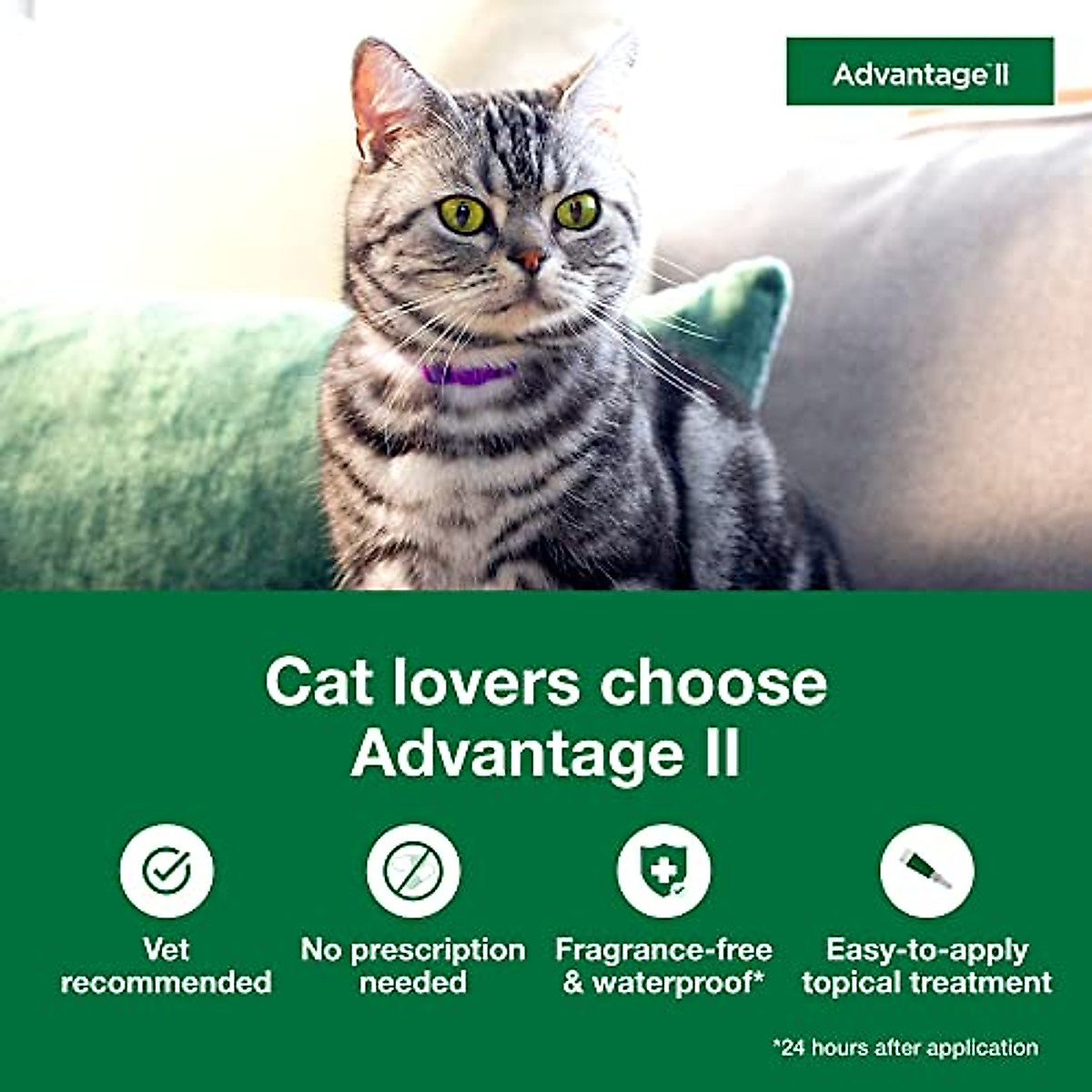 Advantage II Small Cat Vet-Recommended Flea Treatment & Prevention | Cats 5-9 lbs. | 3-Month Supply