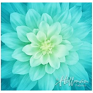 Hoffman Fabric Dream Big Digital Flower Panels - P4389 560 Tidepool
