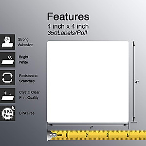 BETCKEY - 4" x 4" (102 mm x 102 mm) Shipping & Large Square Labels Compatible with Zebra & Rollo Label Printer,Premium Adhesive & Perforated [10 Rolls, 3500 Labels]