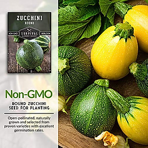 Survival Garden Seeds - Round Zucchini Seed for Planting - Pack with Instructions to Plant and Grow Small Green Zucchinis in Your Home Vegetable Garden - Non-GMO Heirloom Variety