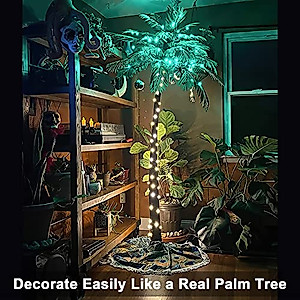 LIGHTSHARE ZLS5FT Lighted Palm Tree, 5-Feet, Multicolor