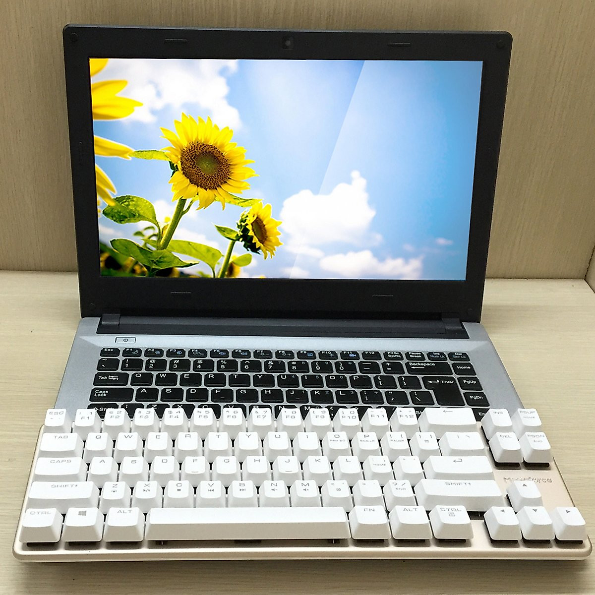 Qisan Happy Deals 10% Discount off Mechanical Keyboard Gaming Keyboard Blue Switch 68-Keys Mini Design (60%) Gaming Wired Keyboard White Silver Magicforce