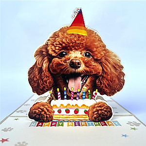 Crazytops Poodle Dog 3D Birthday Funny Pop Up Cards, Poodle Funny and Surprise Happy Birthday Lovely Cards