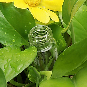 Clear Glass Vials 10ml Empty Vials Bottles Liquid Sampling Sample Glass Bottles Screwcap Capacity 10ml (0.3 Oz) Pack of 10