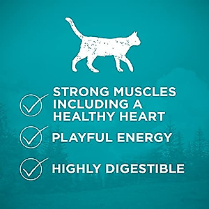 Purina ONE Natural, High Protein, Grain Free Dry Cat Food, True Instinct With Real Chicken - 14.4 lb. Bag