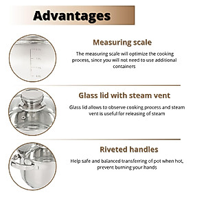 Daniks Standard Stainless Steel Stock Pot with Glass Lid | Induction 3 Quart | Dishwasher Safe Pot | Measuring Scale | Soup Pasta Stew Pot | Silver