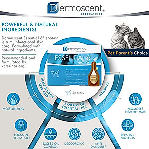 Essential 6 spot-on for Cats - Skin Care for Dandruff Dry or Oily Skin & Hair Loss - Natural Essential Oils & Fatty Acids - Healthy Skin & Coat - 4 Pipettes of 0.6 ml / 0.08 fl. oz