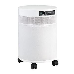 Airpura V600 Air Purifier for Home, V600 True HEPA Filter, Helps to eliminate thousands of airborne particles from air
