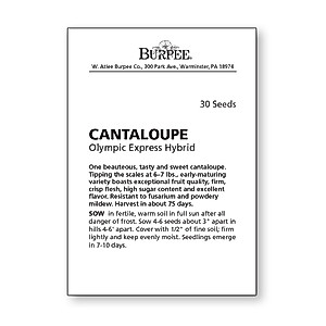 Burpee Olympic Express Cantaloupe Melon Seeds 30 seeds