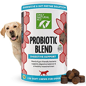 Only Natural Pet Probiotic Dog and Cat Supplement - Digestive & Gut Health Enzyme Formula, Puppy & Canine Digestive Chews, Best for Stomach Relief & Gas Aid - Soft Chews, 120 Count.