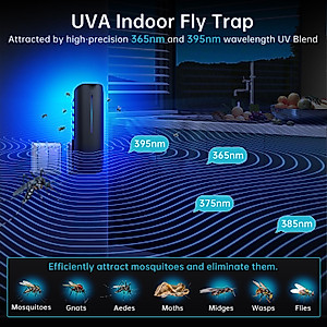 Flying Insect Trap Plug in Mosquito Bug Zapper Indoor Gnat Moth Catcher with 9W Night UV Light, 10 Sticky Glue Board Refills for Home Office
